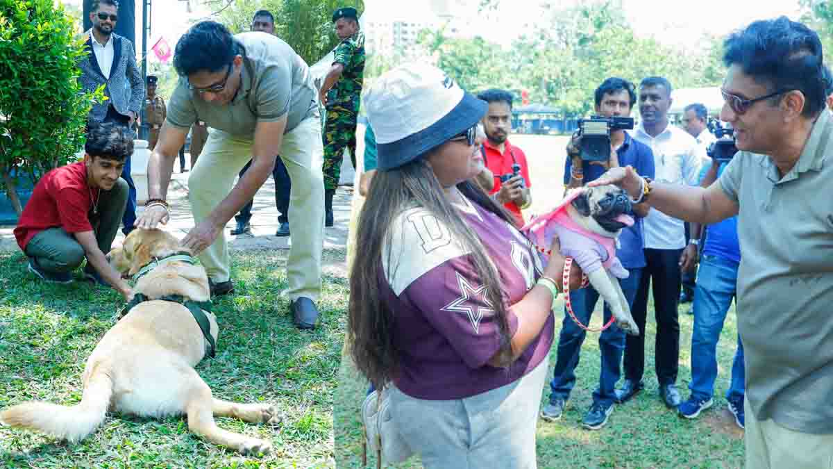 අලින්ට විතරක් නෙමෙයි සජිත් හුරතල් බල්ලන්ටත් ආදරෙයි! Dog Festival එකටත් ...